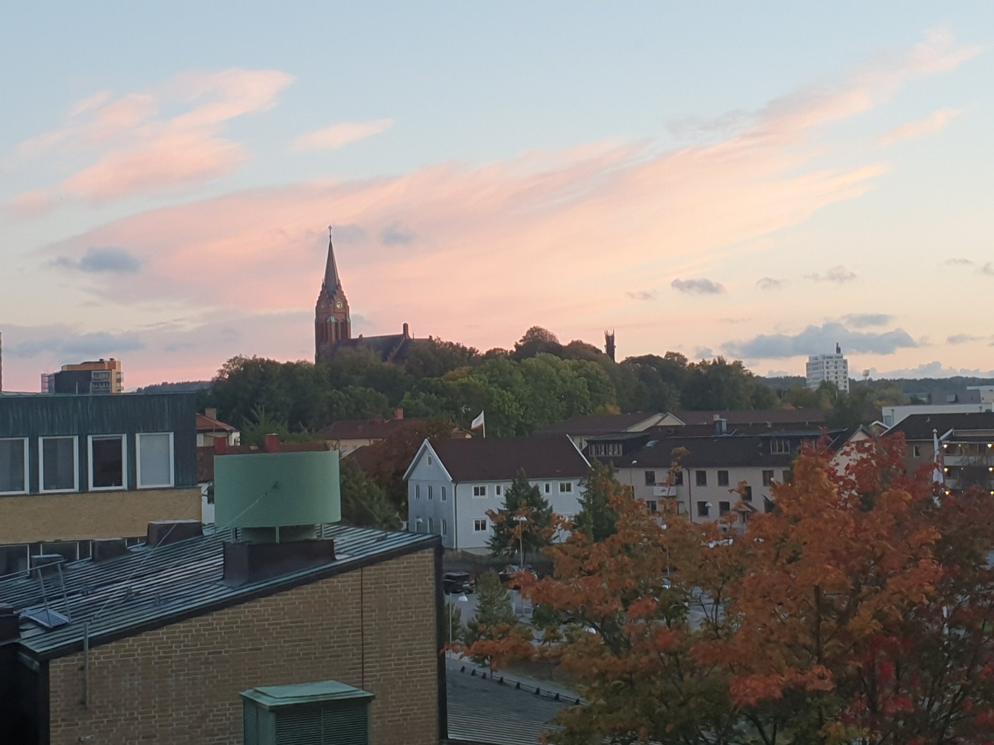 Sjukhus, konserthus, fryshus | my flatcoats